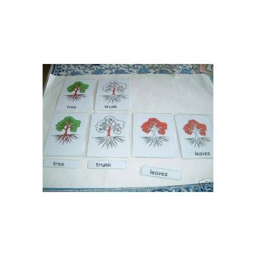 Montessori Nomenclature card - 3 Part cards - parts of a Tree ...