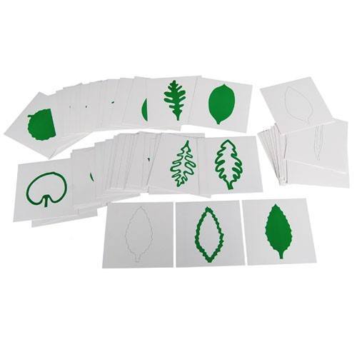 Montessori Botany - Leaf Insets Cards - RightToLearn.com.sg