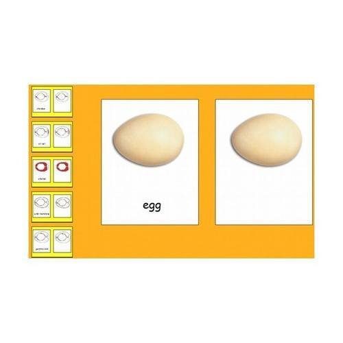3 Part cards - Parts of an Egg - RightToLearn.com.sg