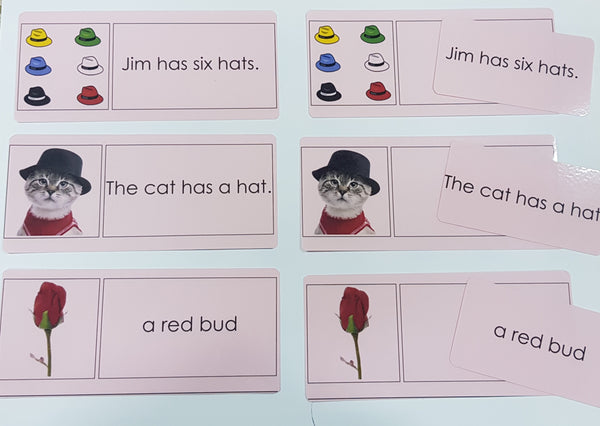 Montessori Pink Scheme - Phonics - Attached & Detached Cards ...