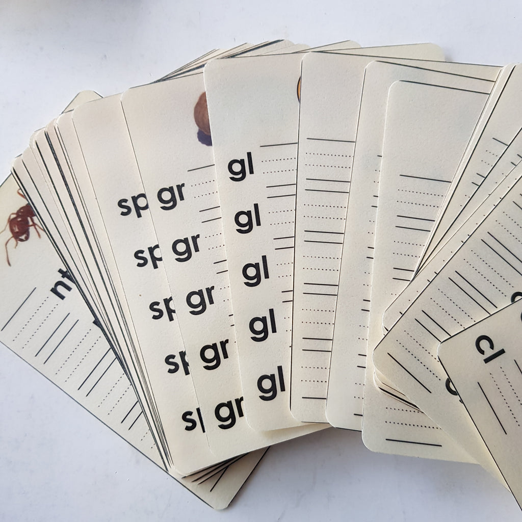 Montessori Phonics Dry Erase Writing Practice Cards - CVC Word Family ...