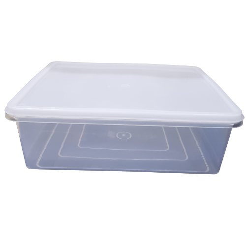 Rectangular Plastic Container with Lid for storage - RightToLearn.com.sg