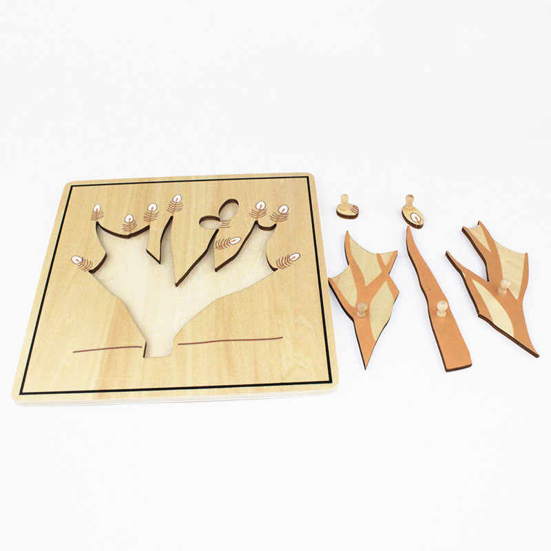 Montessori Elementary - All about ROOTS Package - Knobbed puzzle / 3 p ...