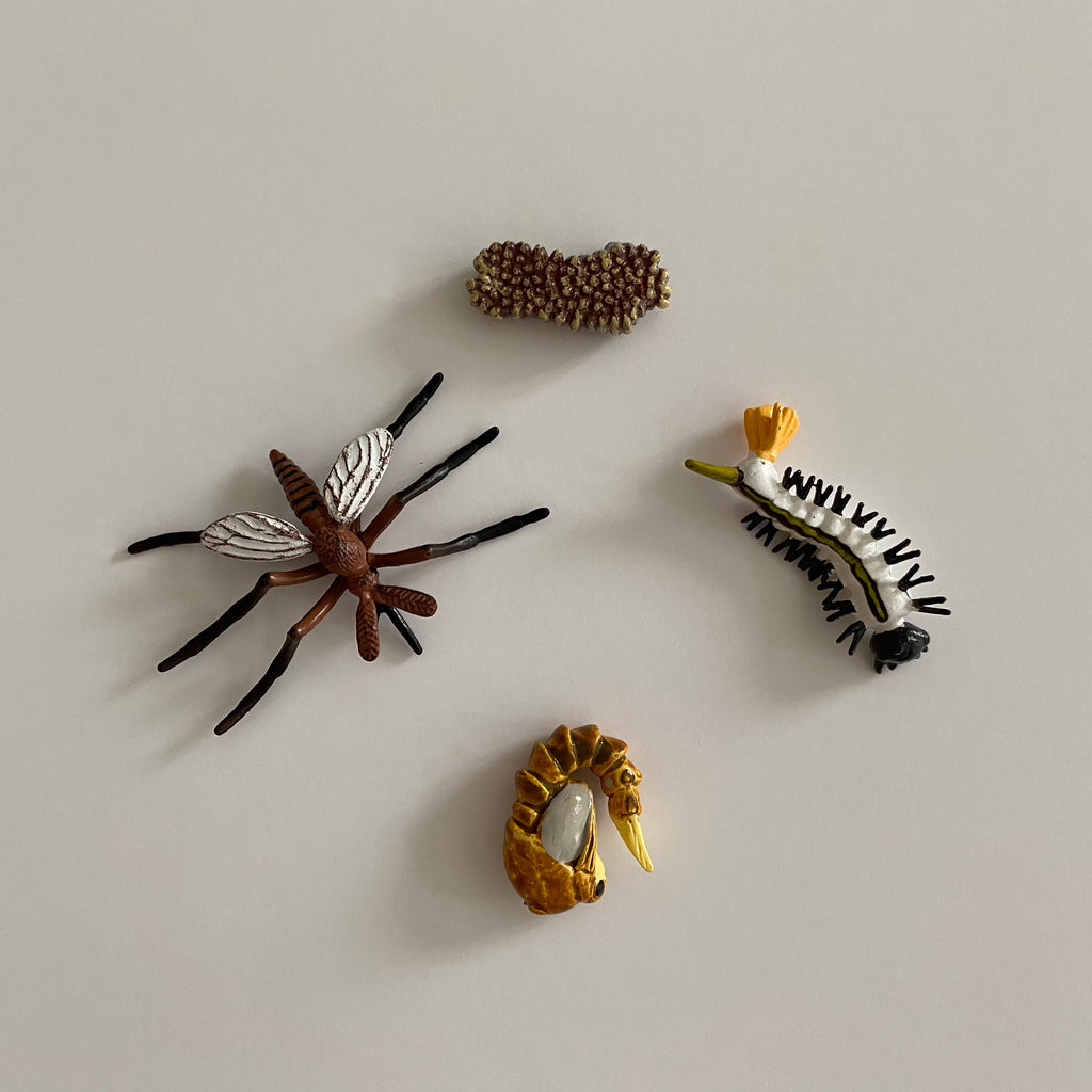 All about Mosquito Package - Life cycle Models/ 4 Part cards ...