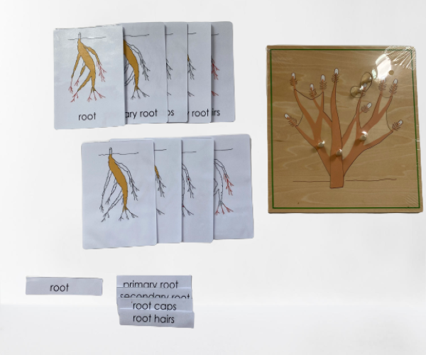 Montessori Elementary - All about ROOTS Package - Knobbed puzzle / 3 p ...