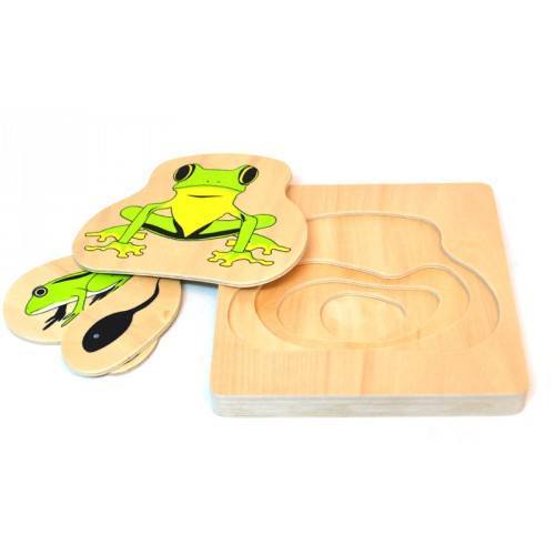 Life Cycle of a Frog - Layer Wooden Puzzle - RightToLearn.com.sg