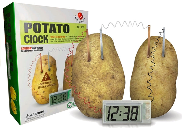 Potato Clock - Science Kit Experiment - RightToLearn.com.sg