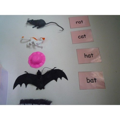 Montessori Pink Scheme - Phonics - word family - 'at' object box ...