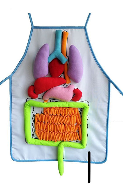 Human Anatomy Organs Apron - What's Inside Me Anatomy Apron ...