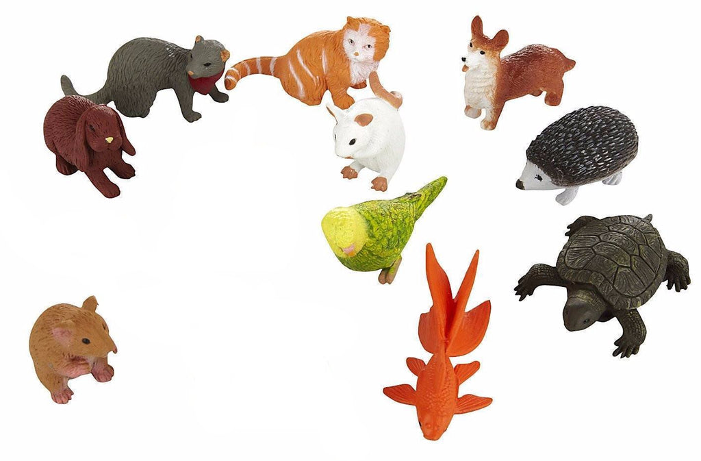 Toob - Safari Ltd - Pets - Miniature model - Clearance - RightToLearn ...
