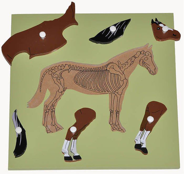 Parts of a HORSE Puzzle with skeleton - RightToLearn.com.sg